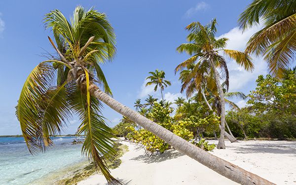 Explore the Beauty and Rich Culture of Venezuela | VisitScape